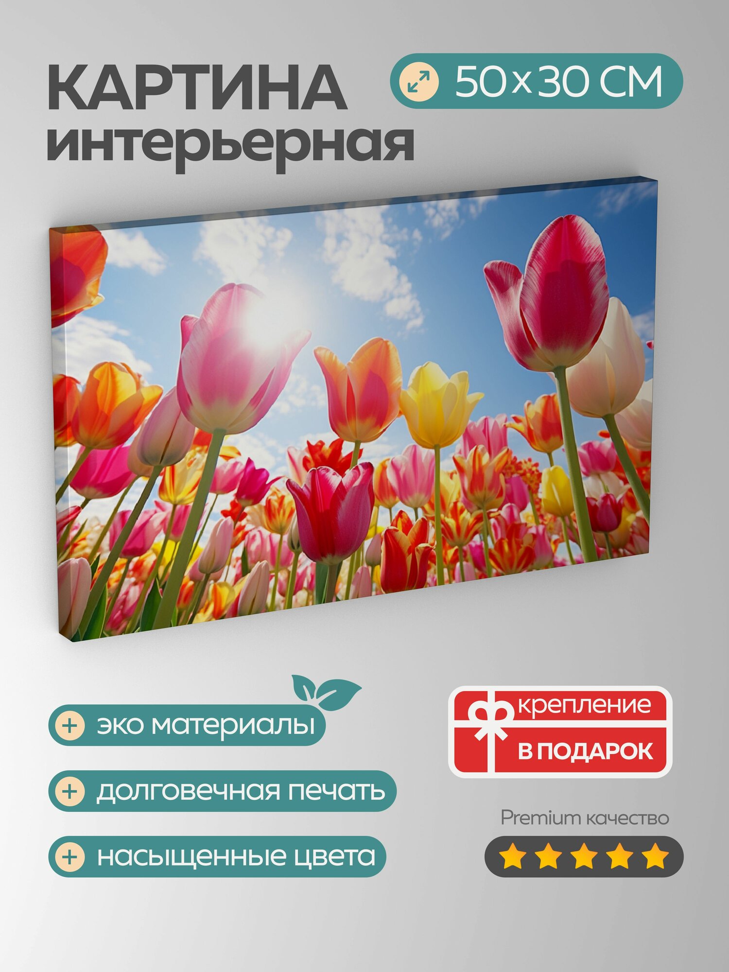 Картина на холсте интерьерная 50х30 см, фотография, "Тюльпанный рай", низкий ракурс, красота цветов, тюльпаны