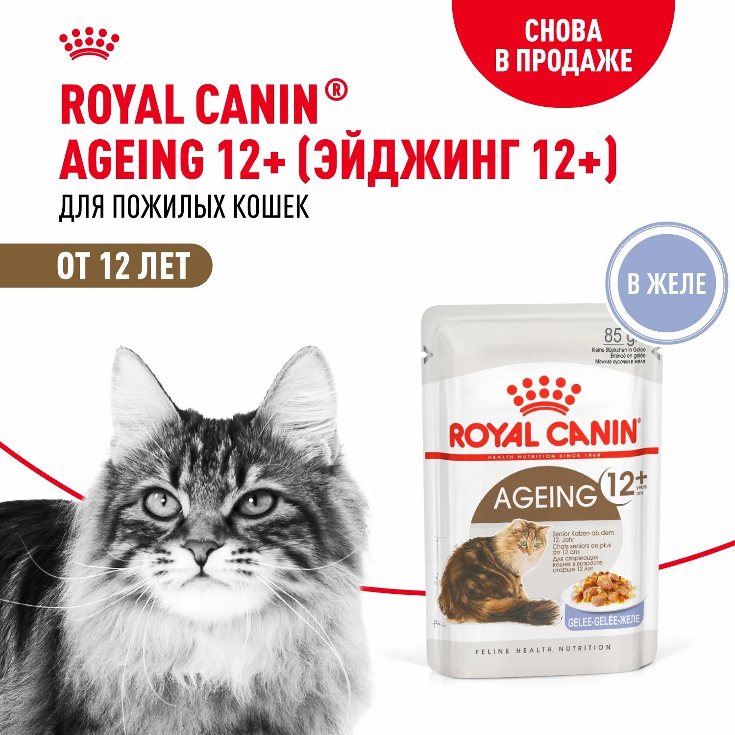 Royal Canin Agening 12+ влажный корм для стареющих кошек старше 12 лет, мелкие кусочки в желе, в паучах - 85 г