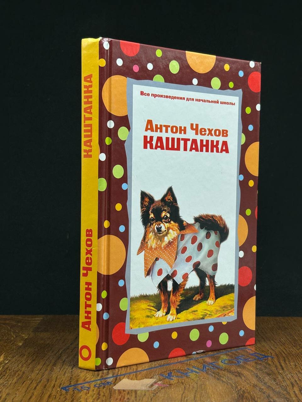 Книга. Каштанка 2007 (2043981342415)