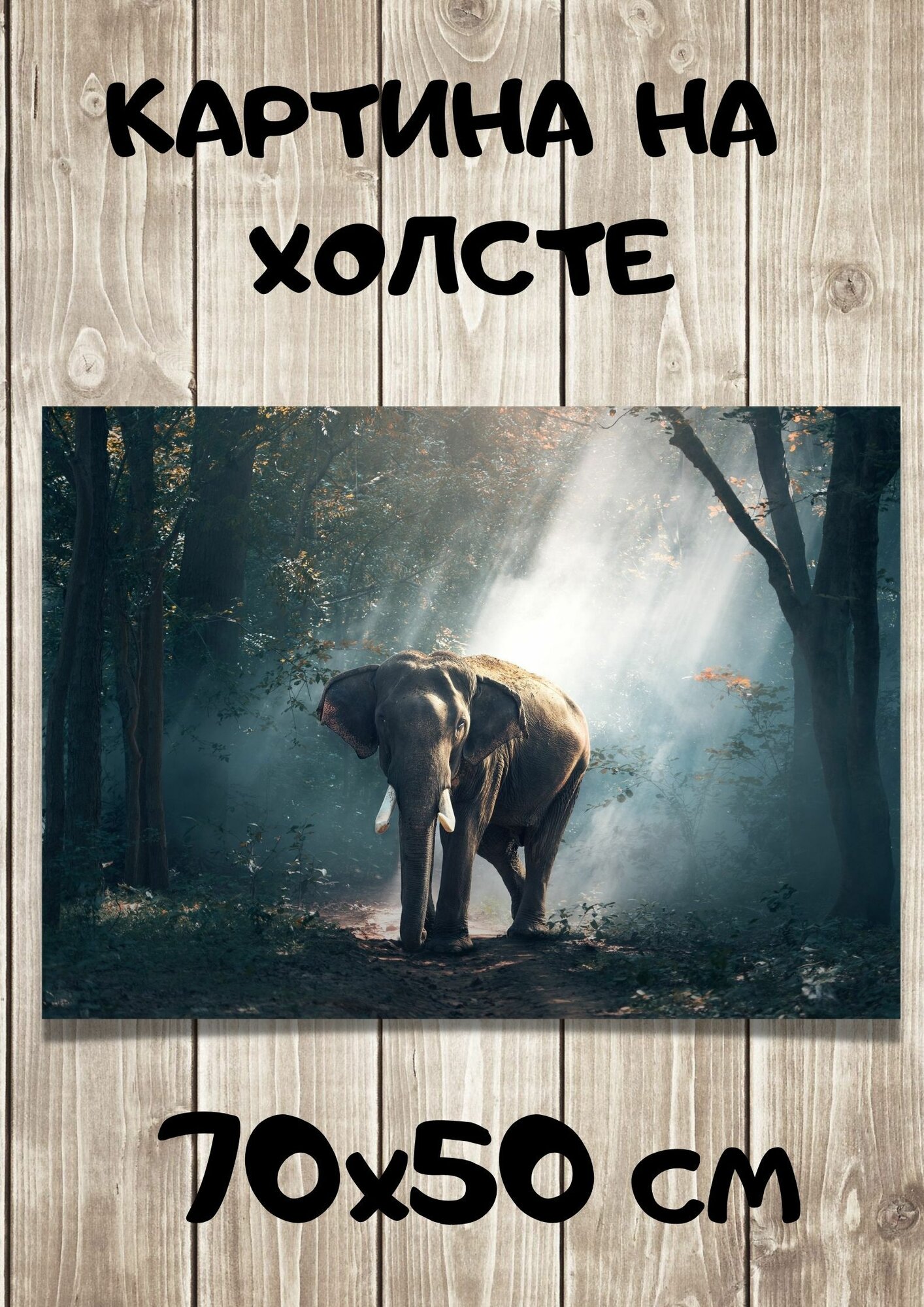 Картина с дикими животными "Слон в лесу" 70х50 см