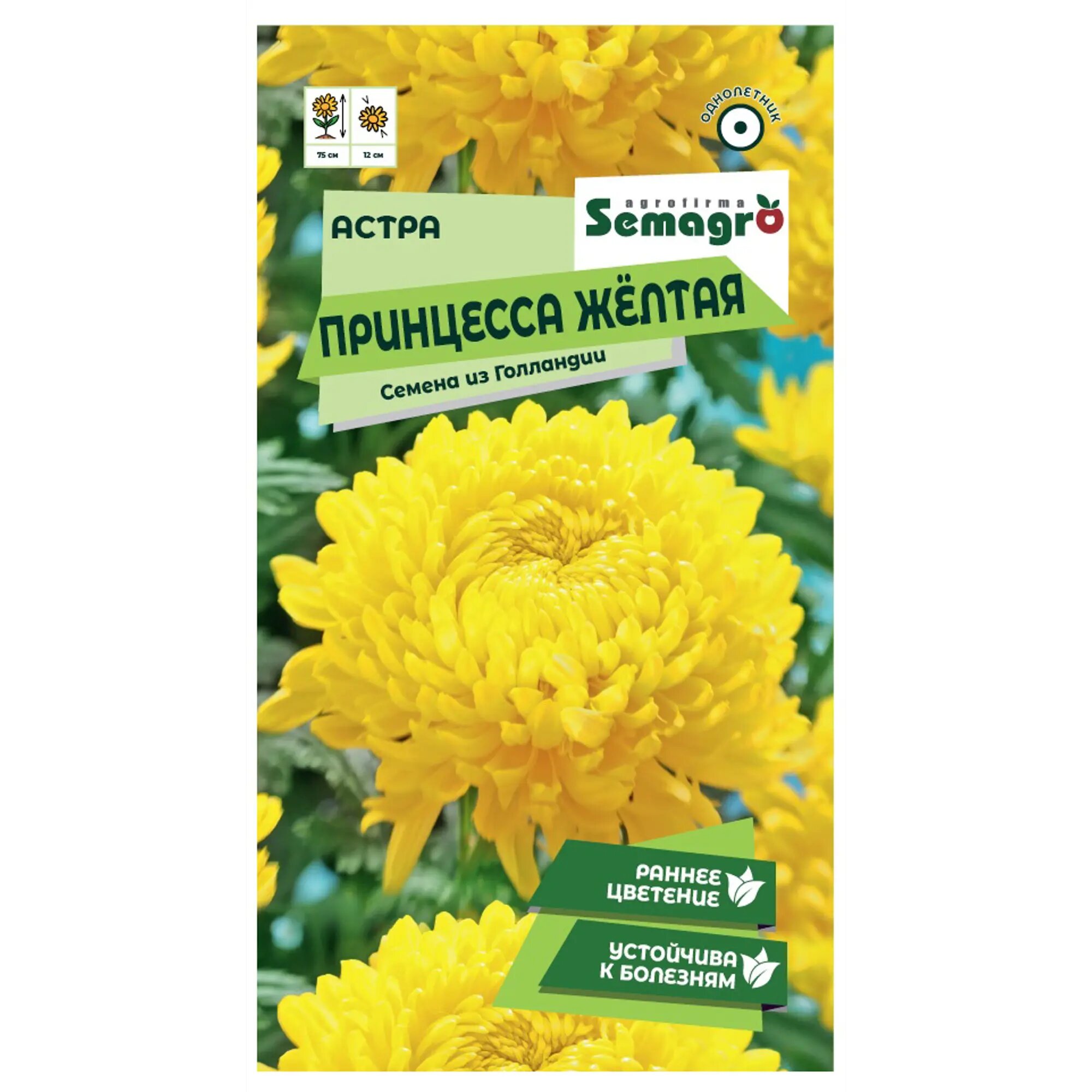 Semagro Семена астра Принцесса Желтая - яркое декоративное цветение для сада и клумбы