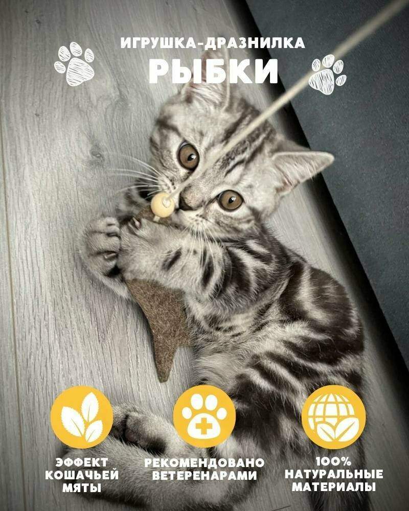 Игрушки для кошек Рыбки, дразнилка из овечьей шерсти с эффектом кошачьей мяты