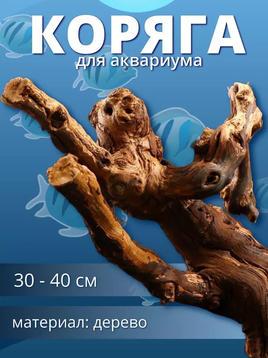 Коряга для аквариума Лоза виноградная 30-40 см