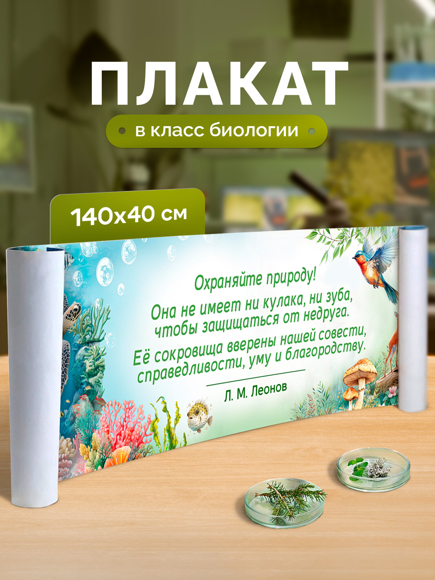Плакат в класс биологии, сине-зеленый, 140х40 см, в картонном тубусе