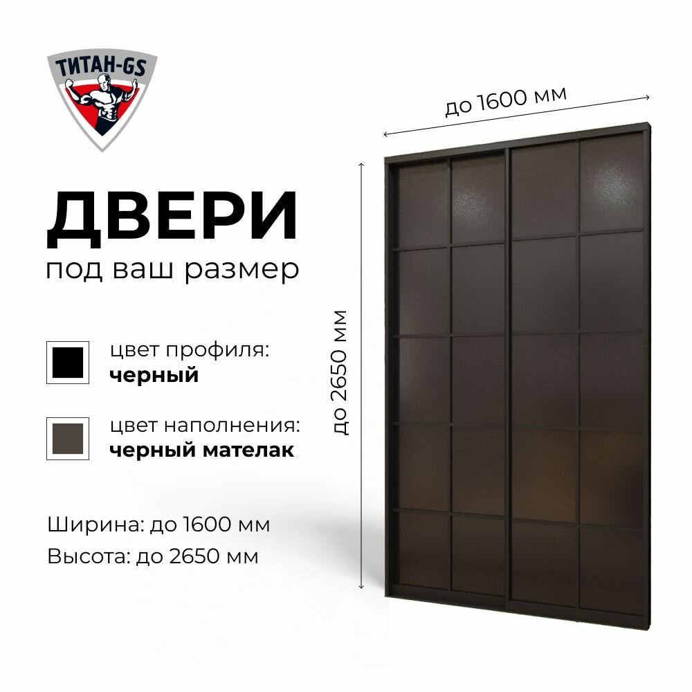 Двери купе для гардеробной и шкафов с делителями Титан-GS 2 створки в проем до 1600 мм на 2650 мм, профиль черный матовый стекло черный мателак