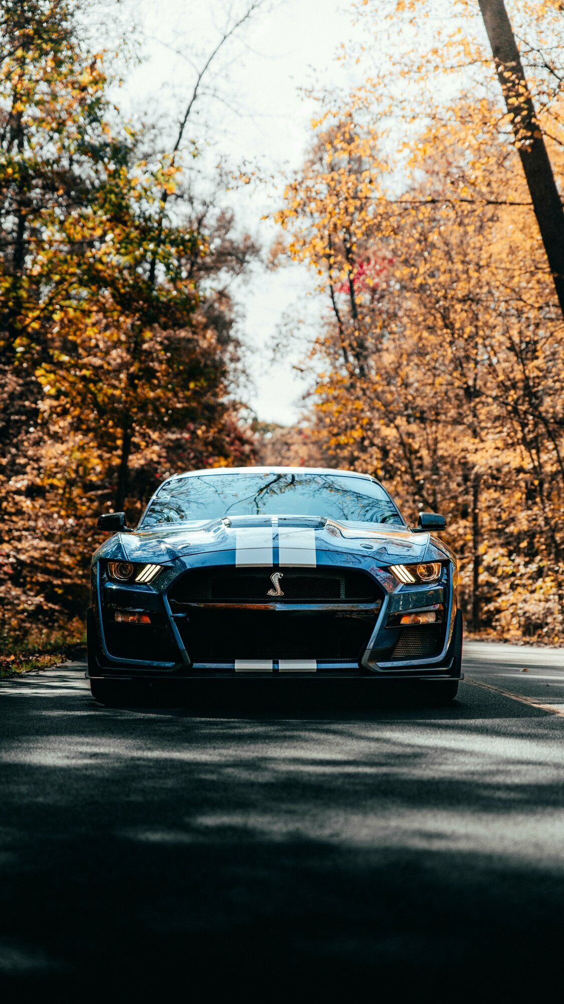 Картина на холсте 60x110 LinxOne "Автомобиль, интерьер для дома / декор на стену / дизайн