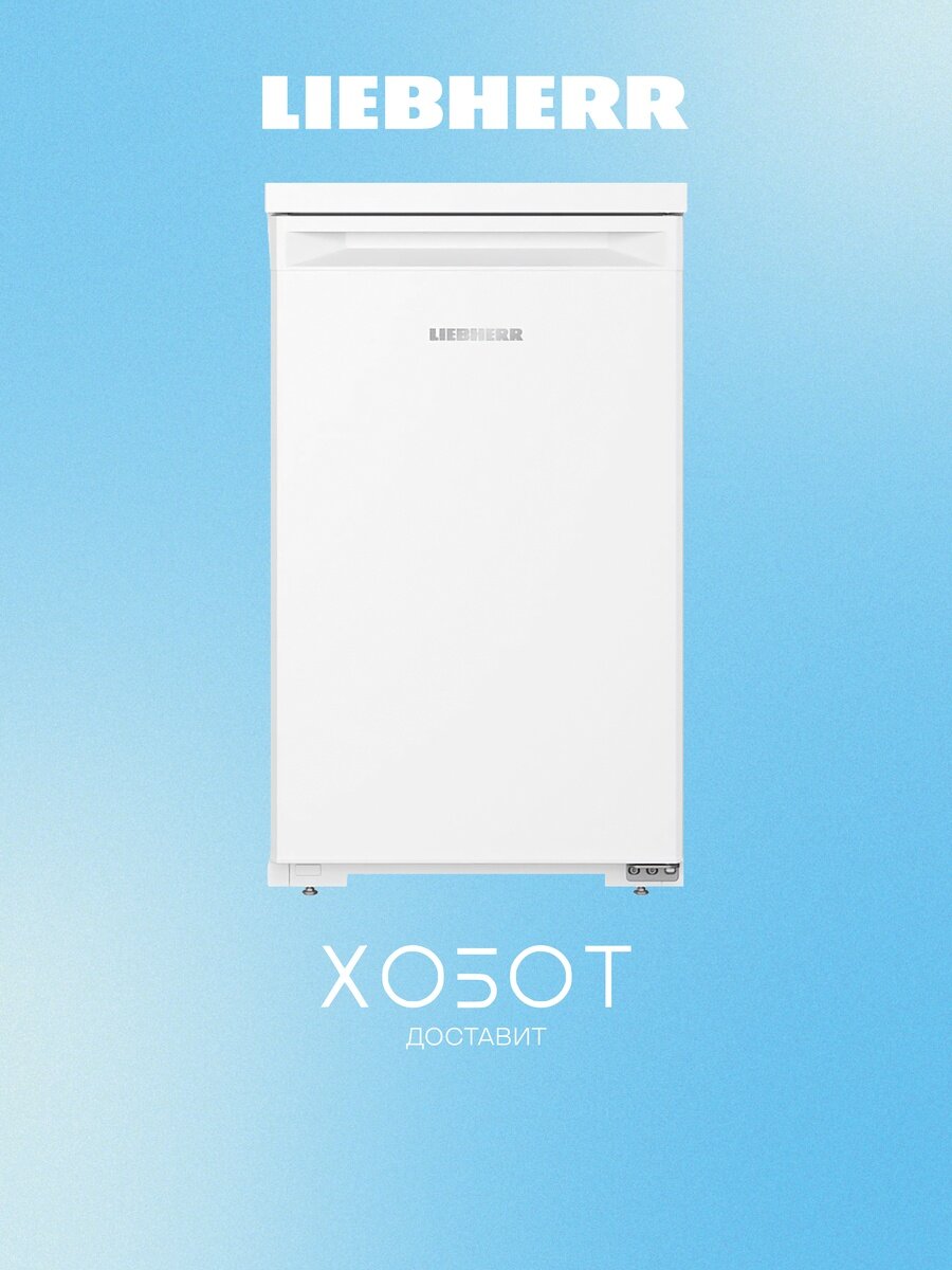 Холодильник Liebherr Re 1201