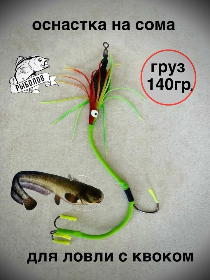 Оснастка на сома