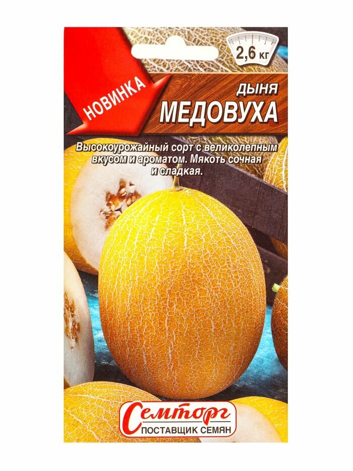 Семена Дыня Медовуха Семторг, Ц/П СТ,1 г 10944924
