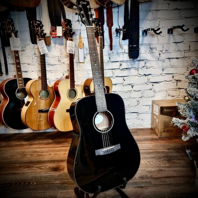 Акустическая гитара Cort Earth60-BK