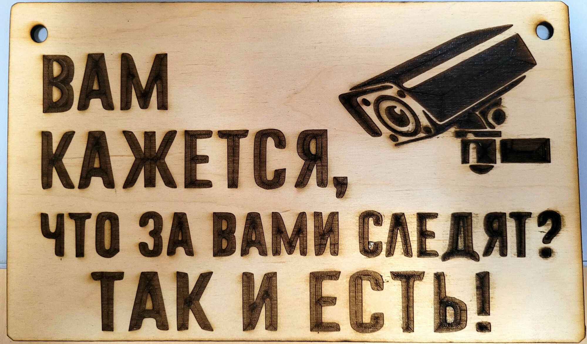 Деревянная табличка "За вами следят"