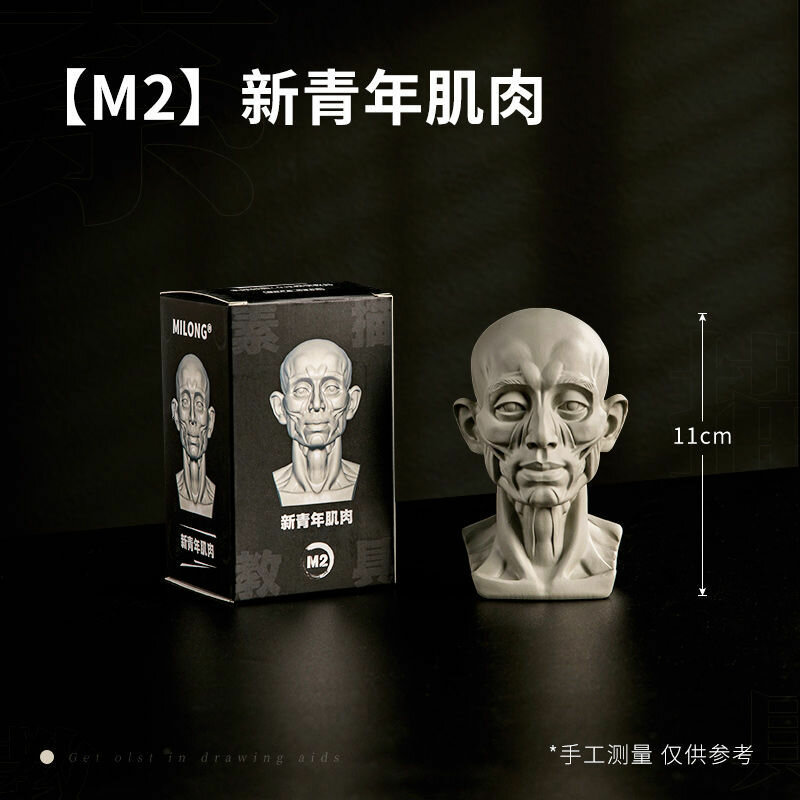Модель головы Милонга, голова Тэо, гипсовая модель головы, учебное пособие, реалистичная голова, мини-версия, гипсовая модель для эскизов