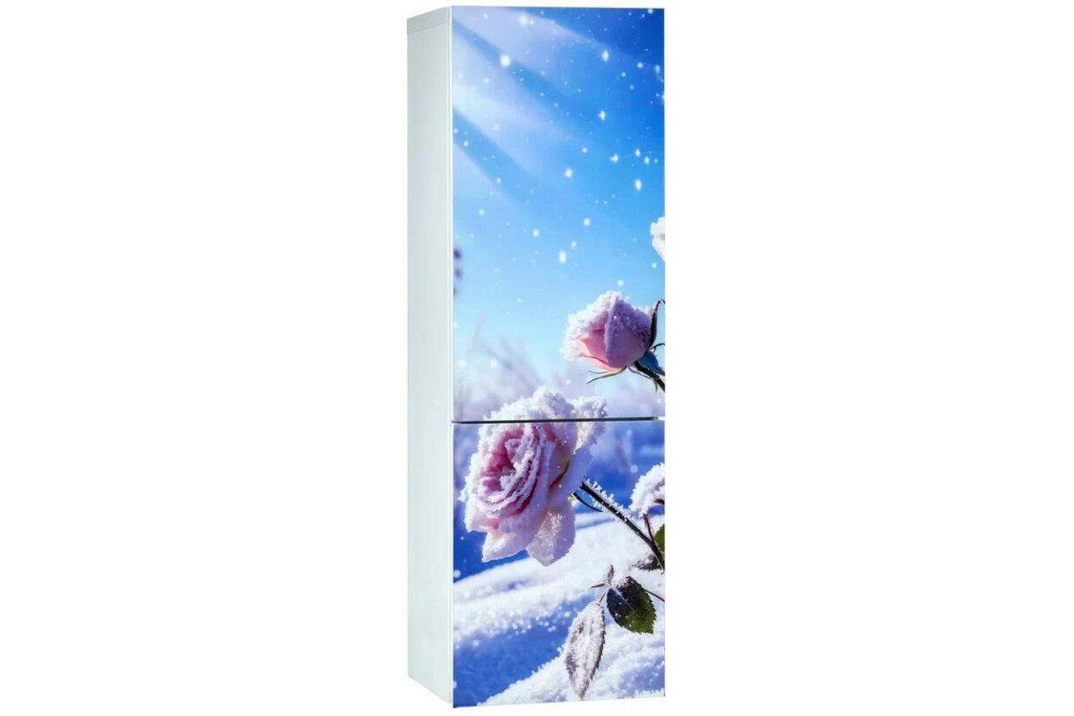 Холодильник орск 177 B glass ZIMA