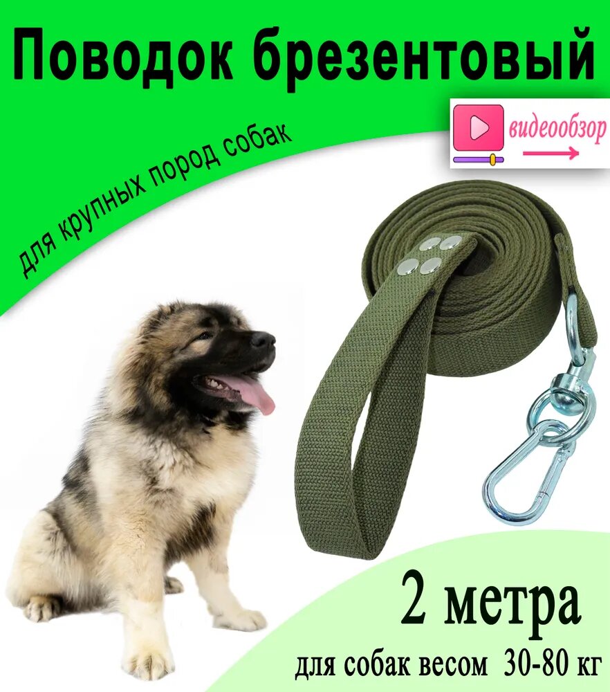 Поводок для крупных собак 2м, брезентовый, широкий 35мм