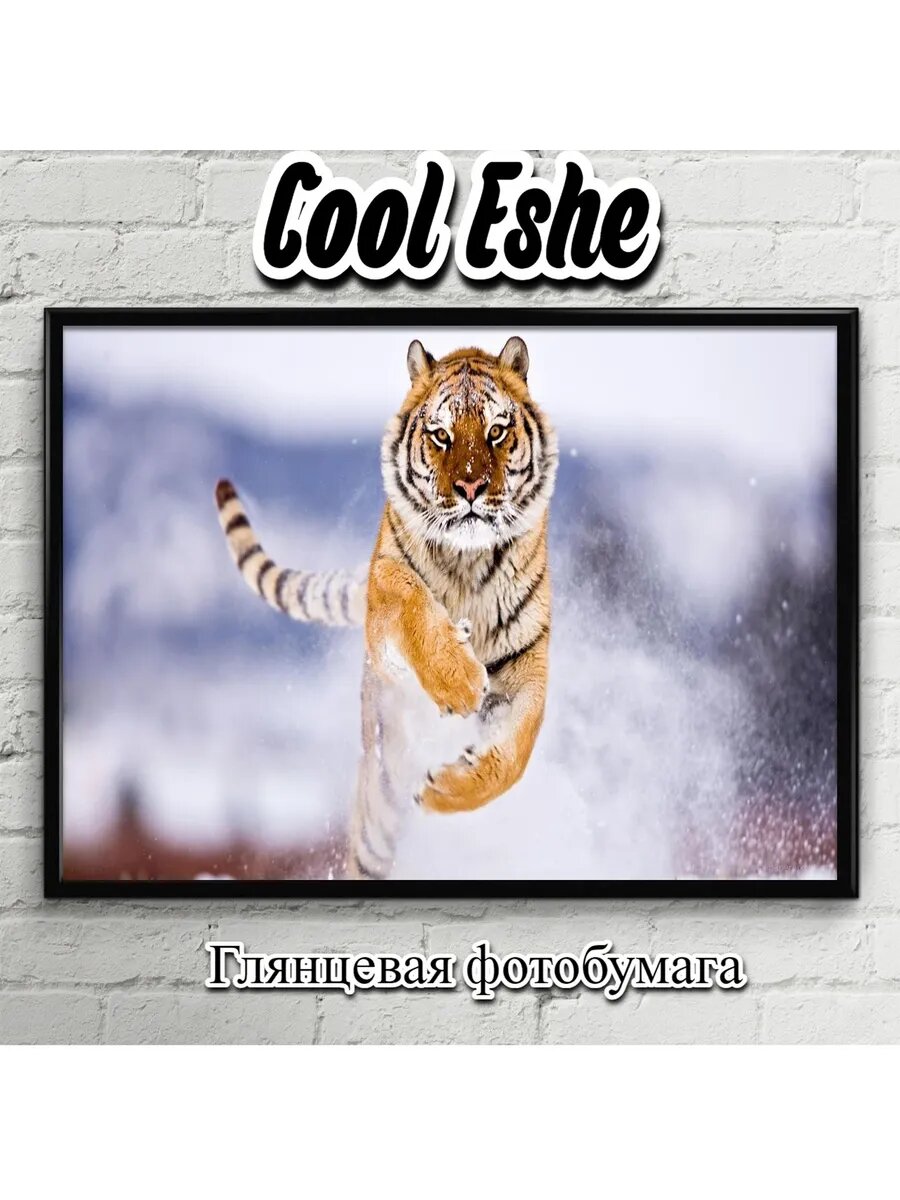 Плакат "Тигр, прыжок, снег" А4