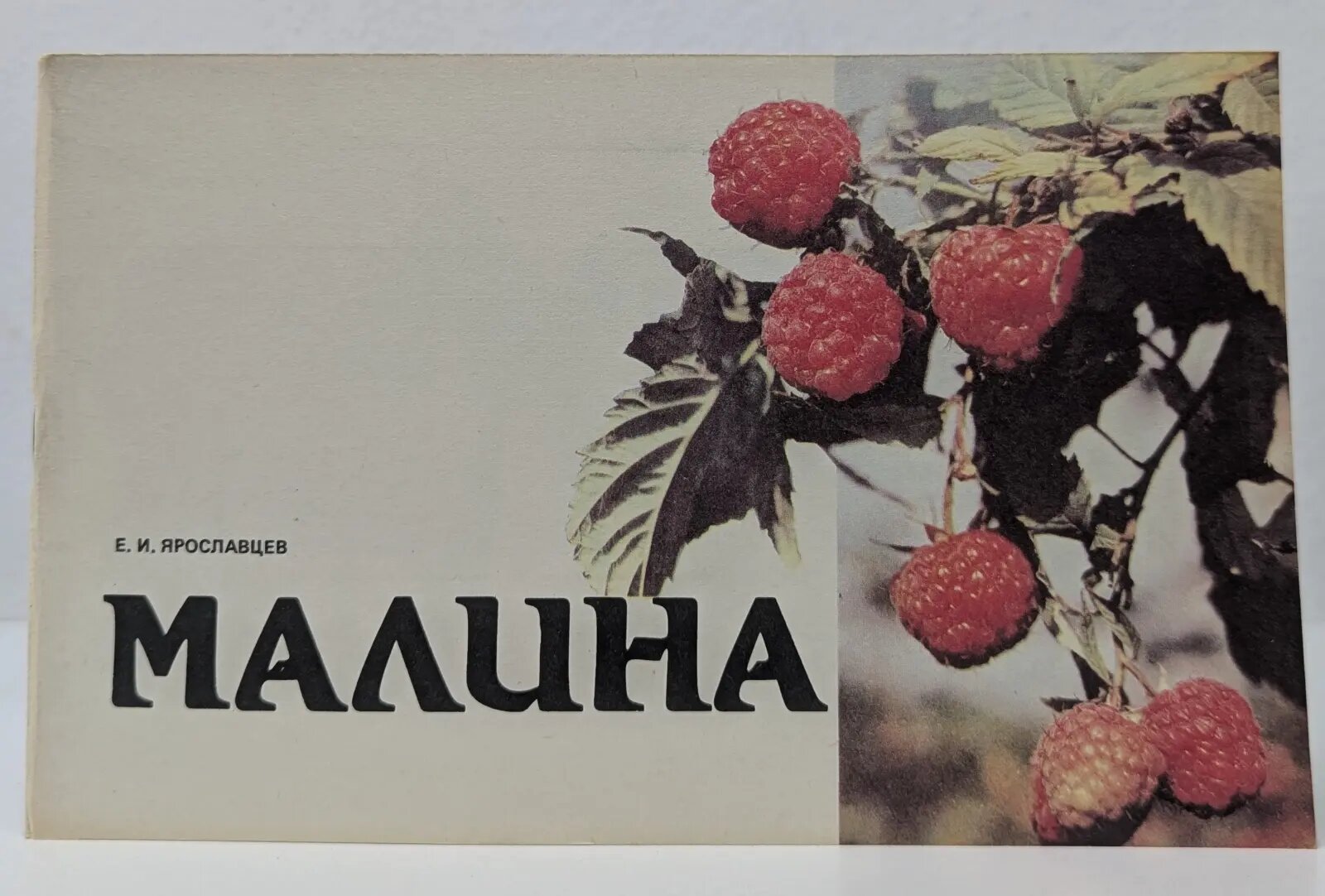 Малина Ярославцев Евгений Иванович 1991