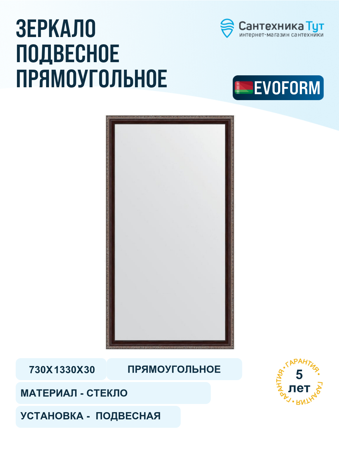 Зеркало Evoform Definite 133x73 BY 3648 в багетной раме - Махагон с орнаментом 50 мм