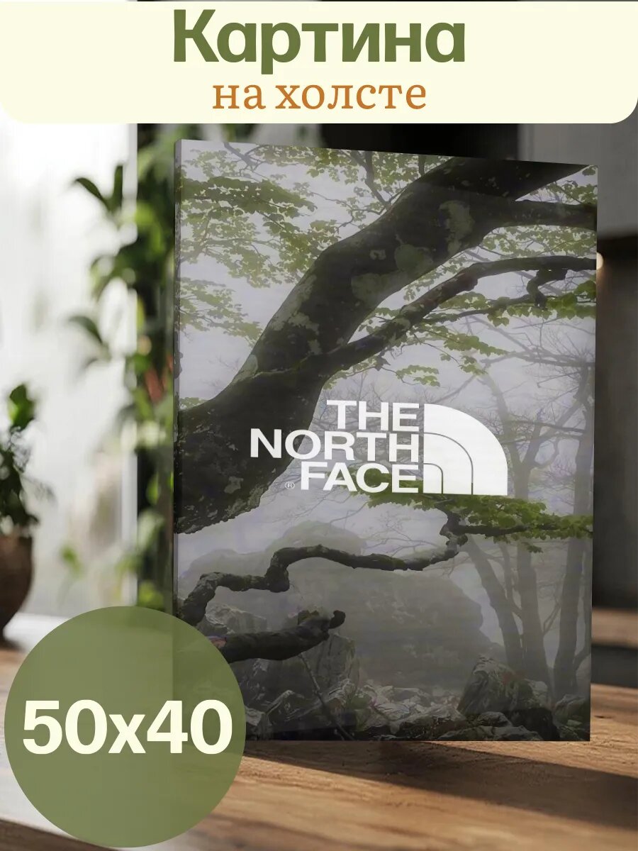 Картина 40х50 ТНФ The North Face Эстетика Стиль Мода Статус
