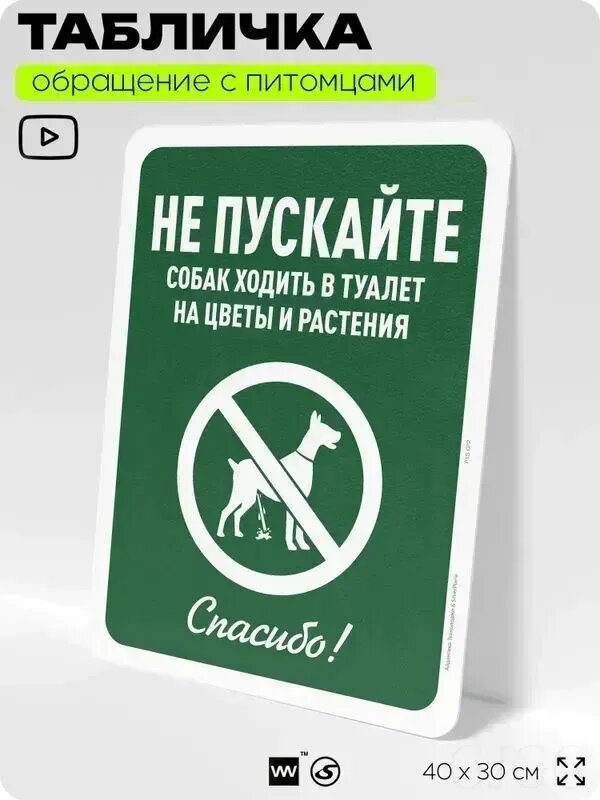 Табличка "Не пускайте собак ходить в туалет на цветы и растения", для двора, дома, подъезда, 40х30 см, Si er Plane x Айдентика Технолоджи