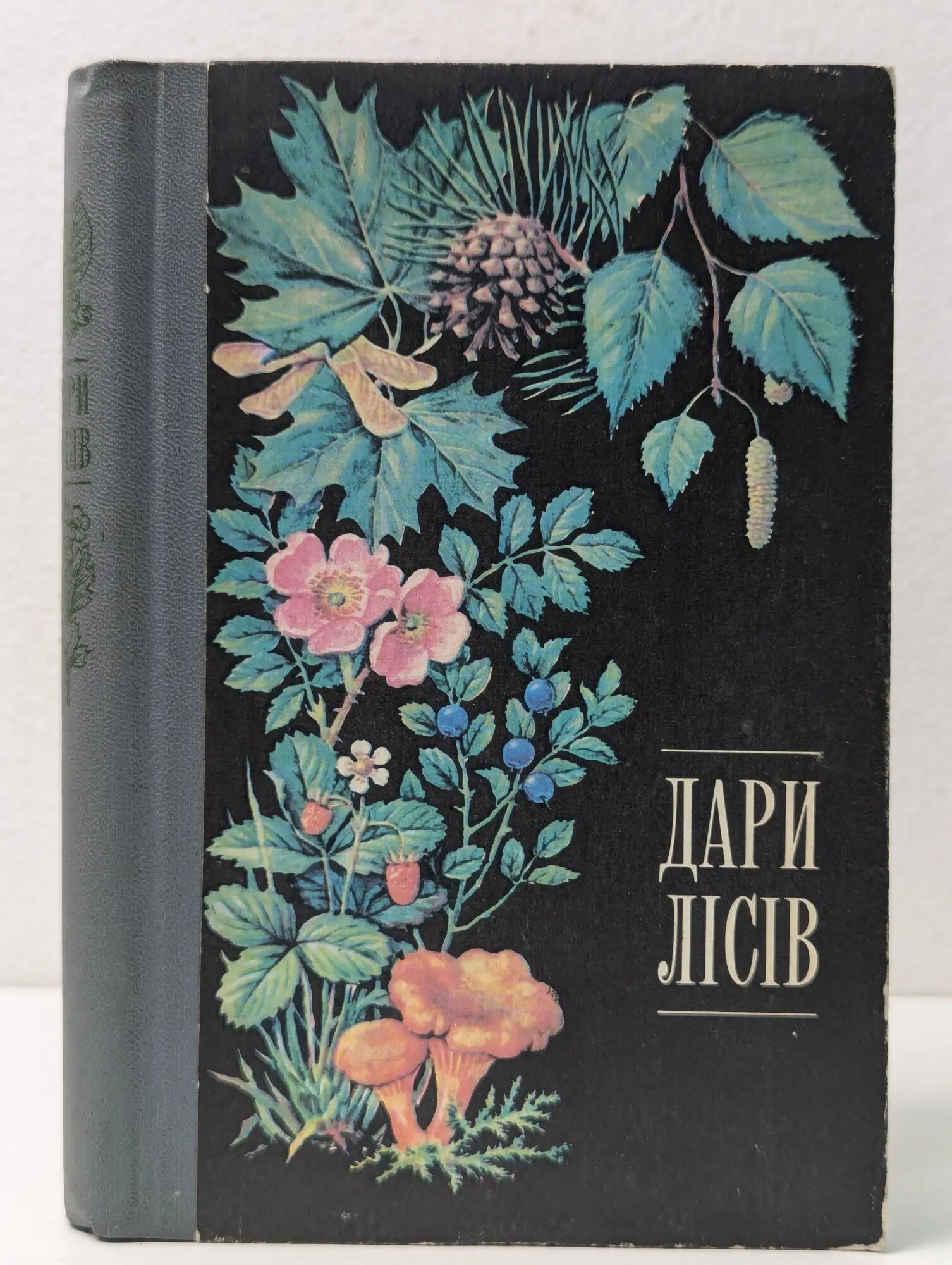 Дары лесов Елин Ефим Яковлевич, Зерова Мария Яковлевна, Лупин Владимир Иванович 1983