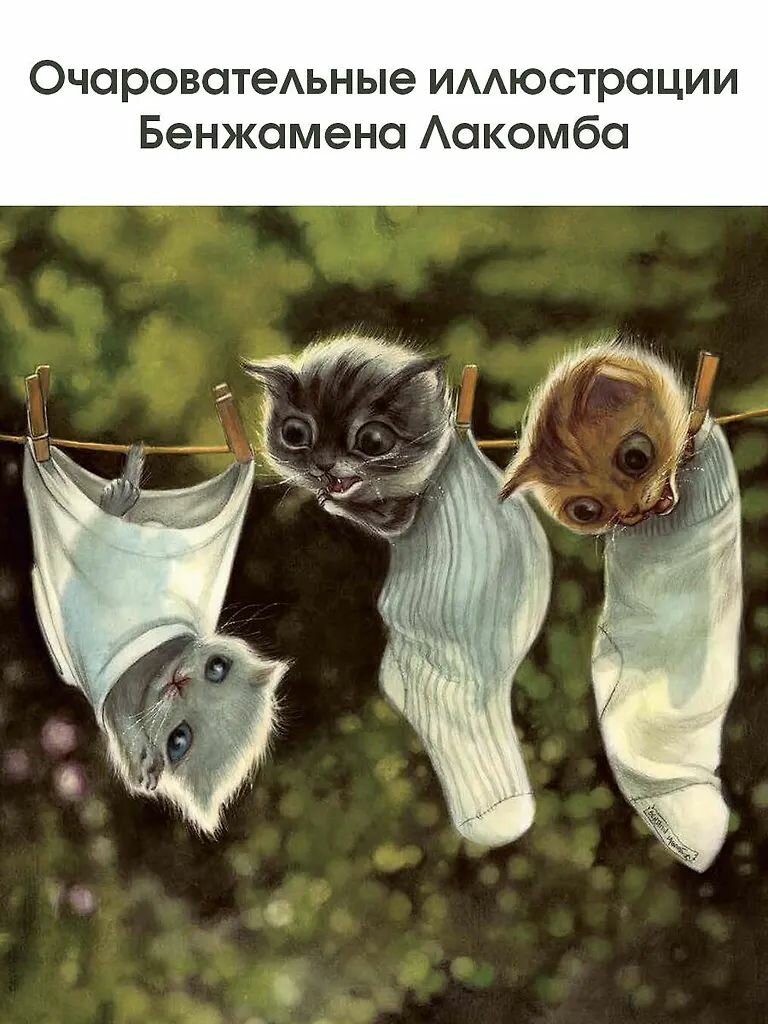 Кошачьи проделки. Себастьен Перез. Твёрдый переплёт. Издательство АСТ. — фото 1