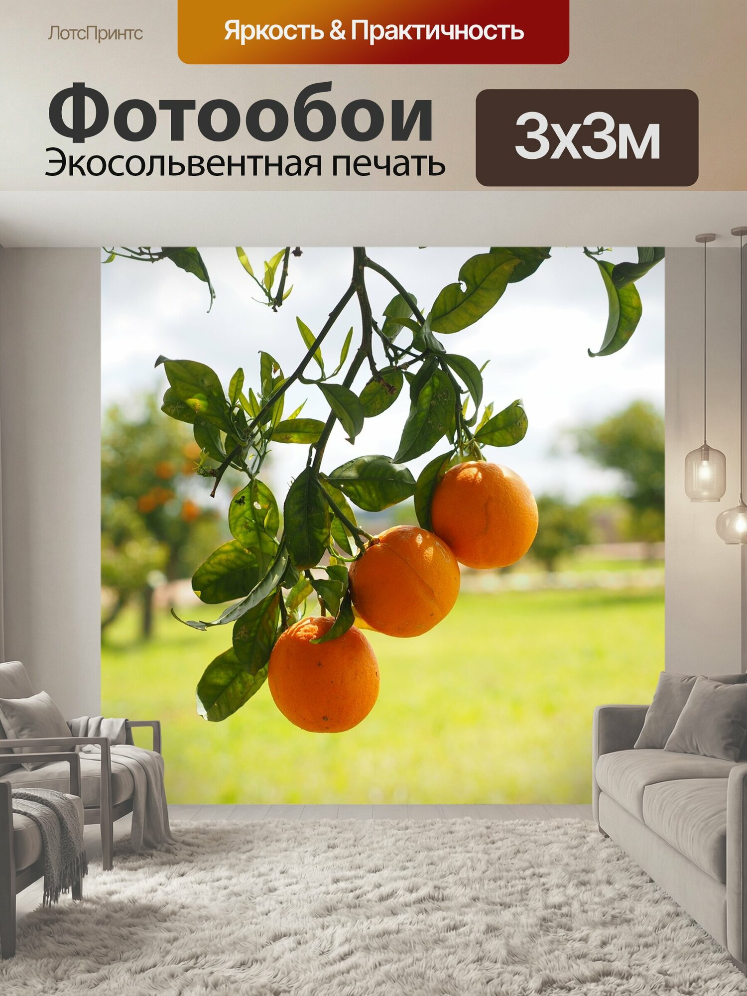 Фотообои "Апельсины, фрукты, апельсиновое дерево" 300x300 см. экосольвентная печать