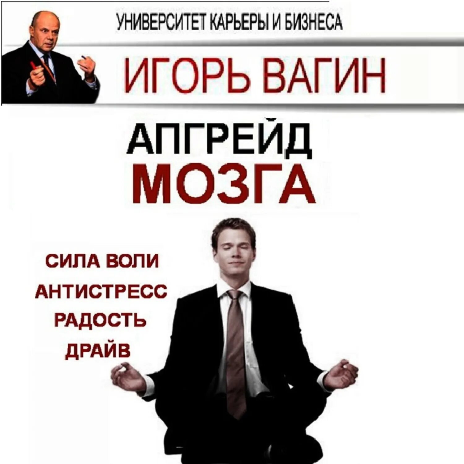 Апгрейд головного мозга [Аудиокнига]