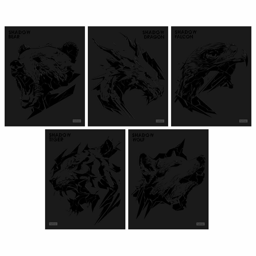 Тетрадь А5, 48 л, HATBER, скоба, клетка, матовая ламинация, 3D-лак, "Shadow" (микс в спайке), 093204, 48Т5лолВ1, 405710