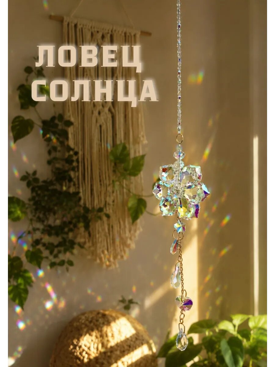 Ловец солнца