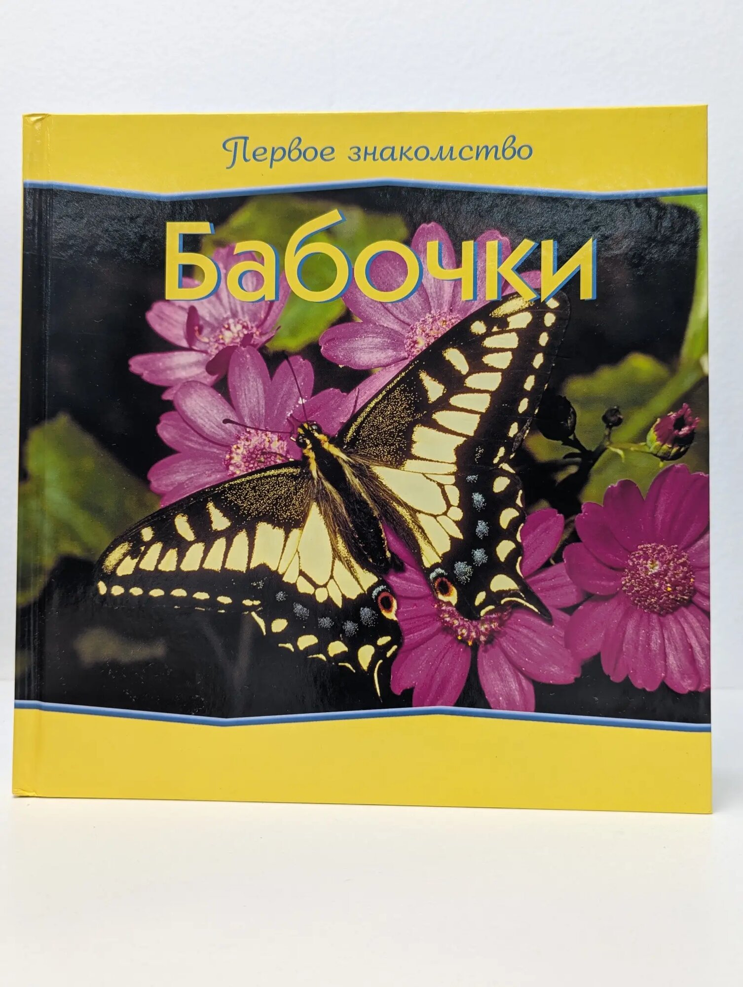 Первое знакомство. Бабочки Уилздон Кристина 2008