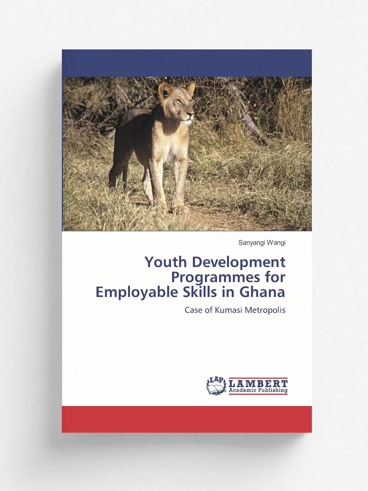 Youth Development Programmes for Employable Skills in Ghana