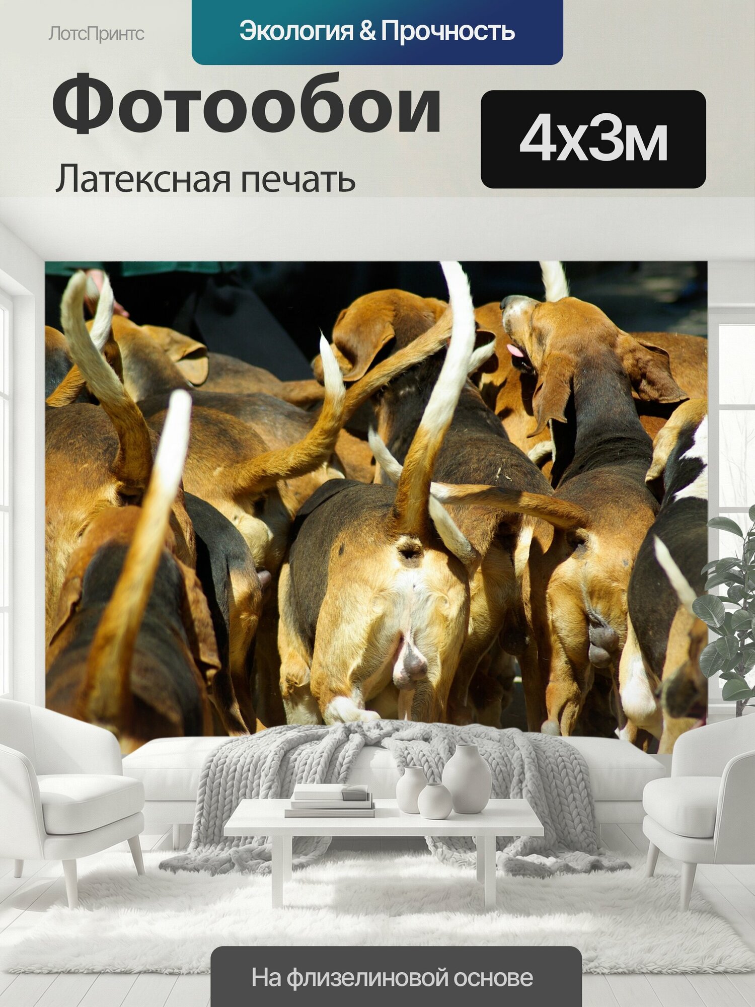 Фотообои моющиеся ударопрочные "Охота с гончими, охотничья собака, пакет" 400x300 см. латексная печать