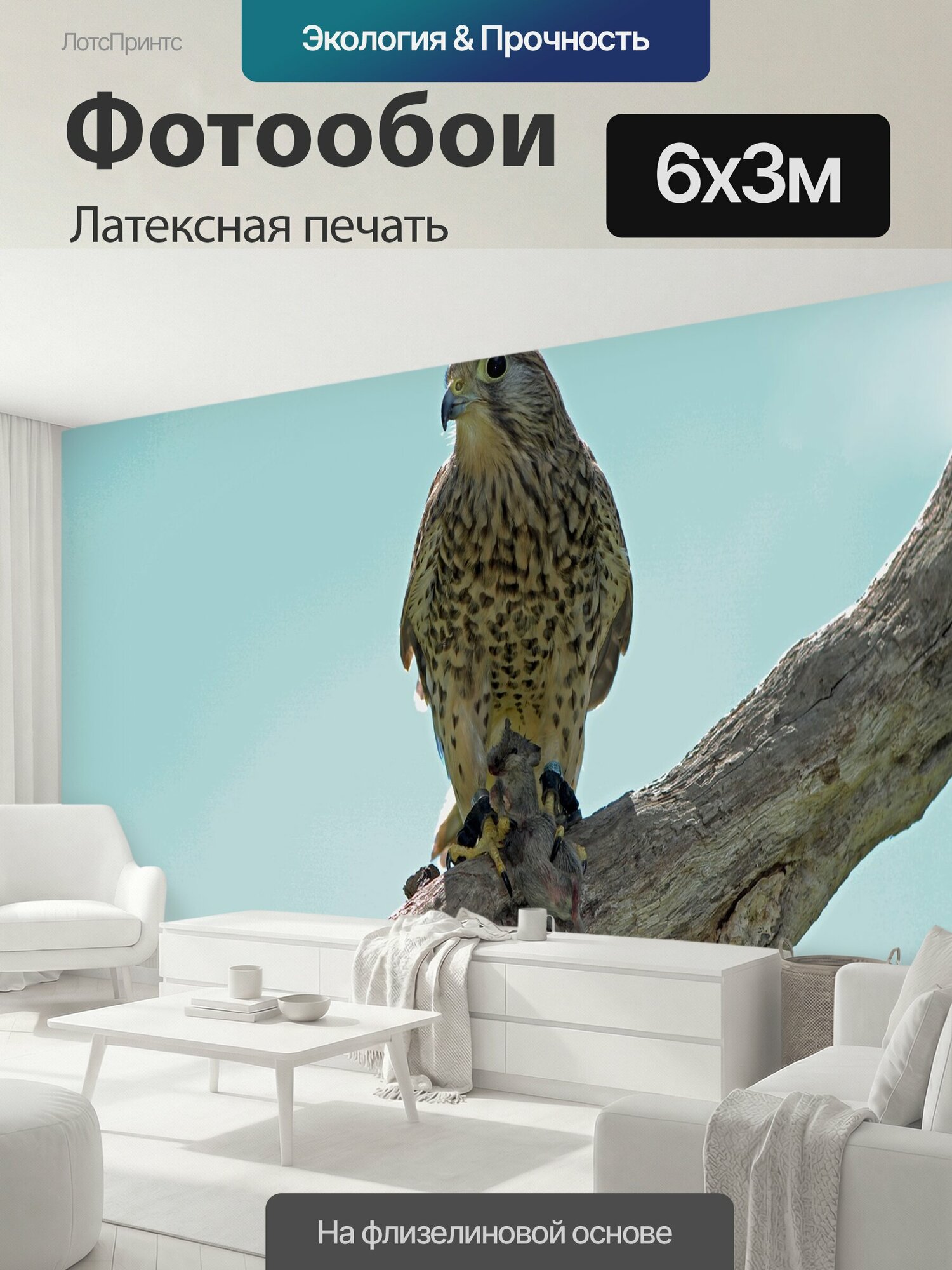Фотообои моющиеся ударопрочные "Пустельга, хищная птица, птица" 600x300 см. латексная печать