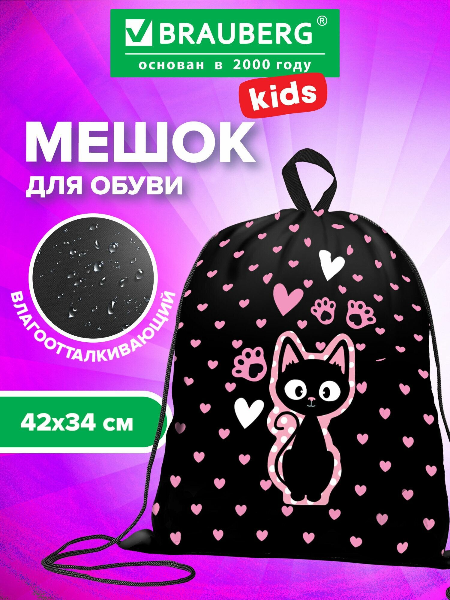 Мешок для обуви Brauberg Kids, с петлей, 42х34 см, "Amazed cat"
