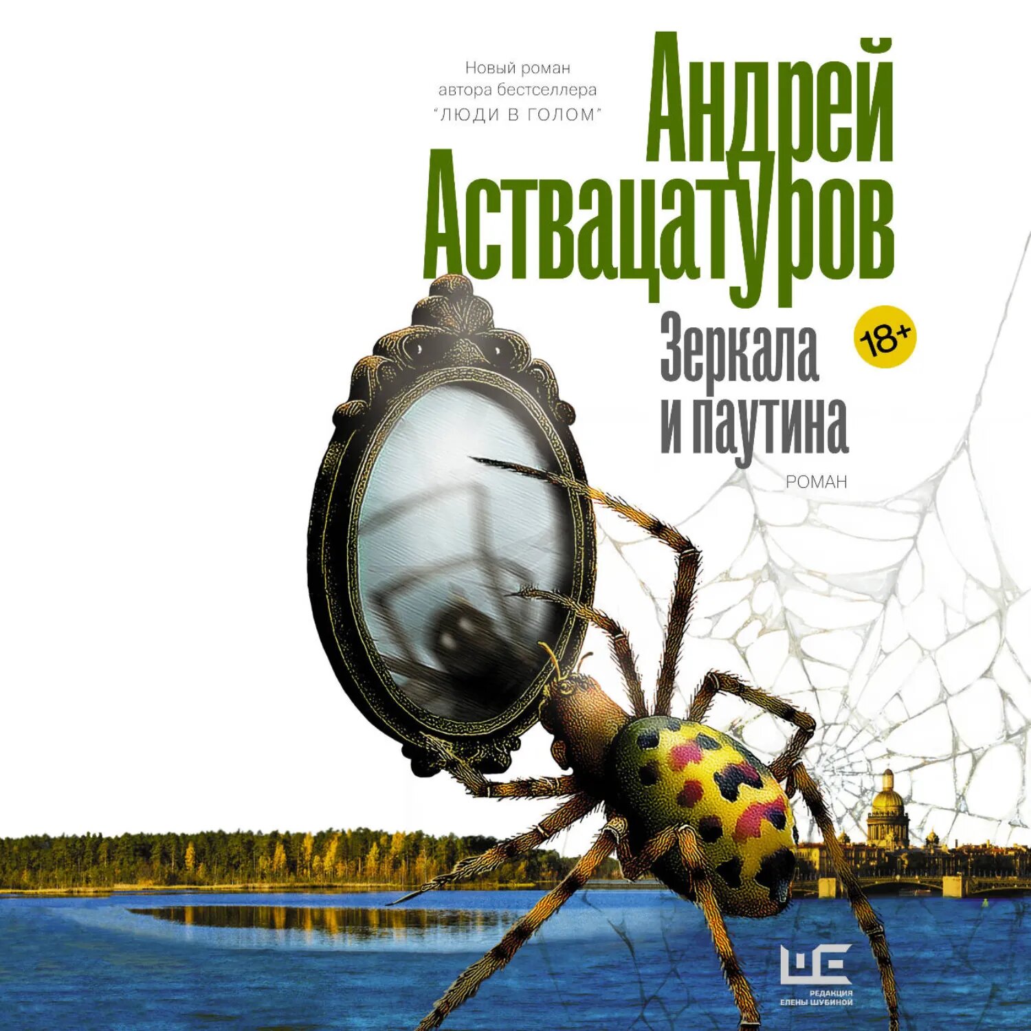 Зеркала и паутина [Аудиокнига]
