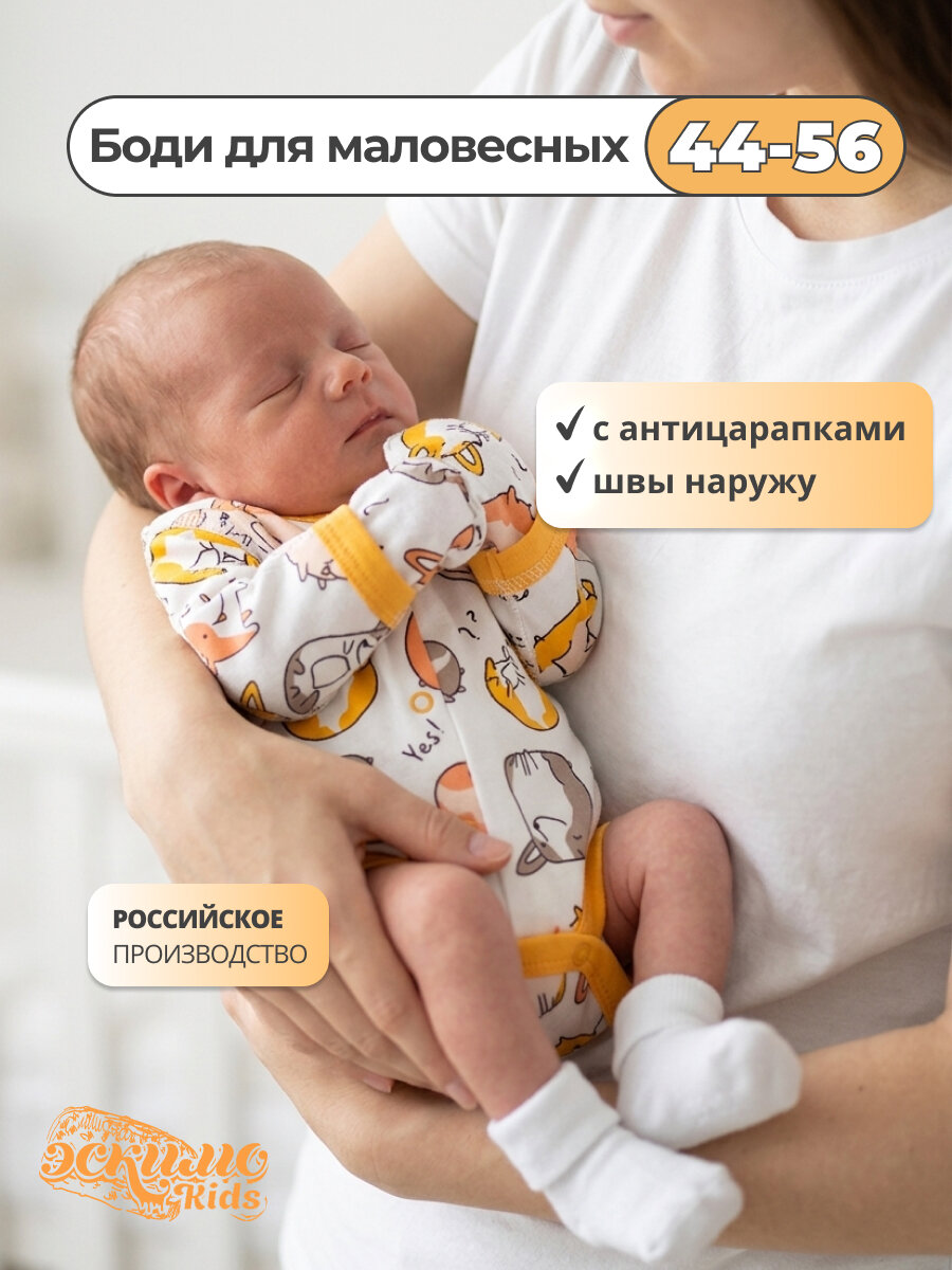 Боди