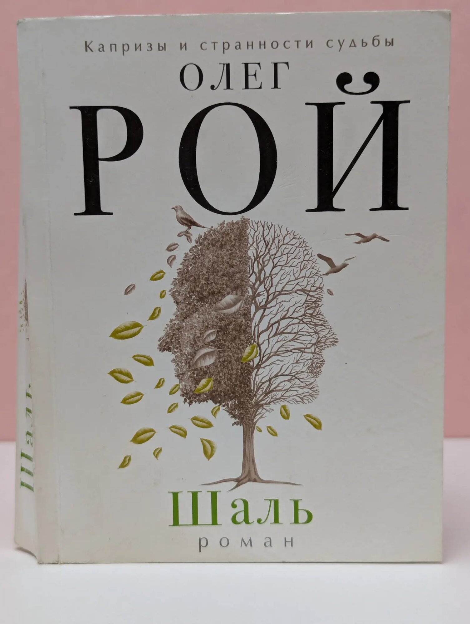 Капризы и странности судьбы. Шаль Рой Олег Юрьевич 2017