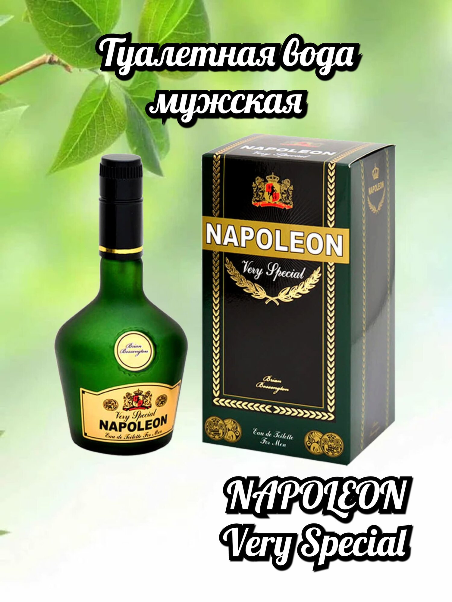 Туалетная вода мужская NAPOLEON Very Special / 93 мл