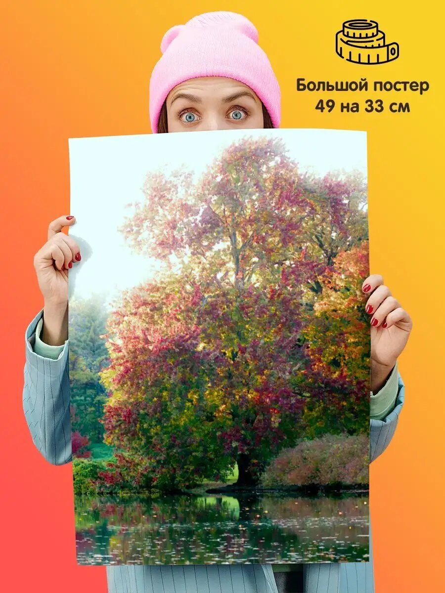 Постер плакат Клод Моне Дерево на воде