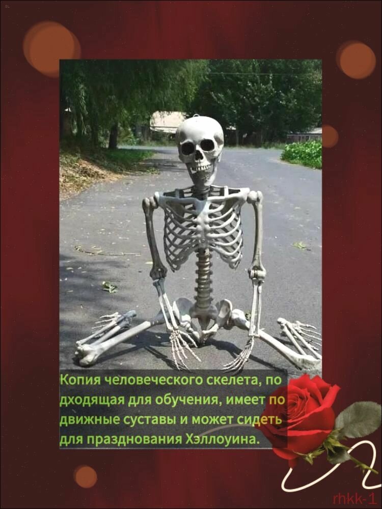Декоративный скелет 170см для Хэллоуина