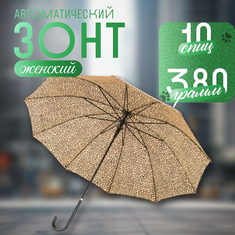 Зонт