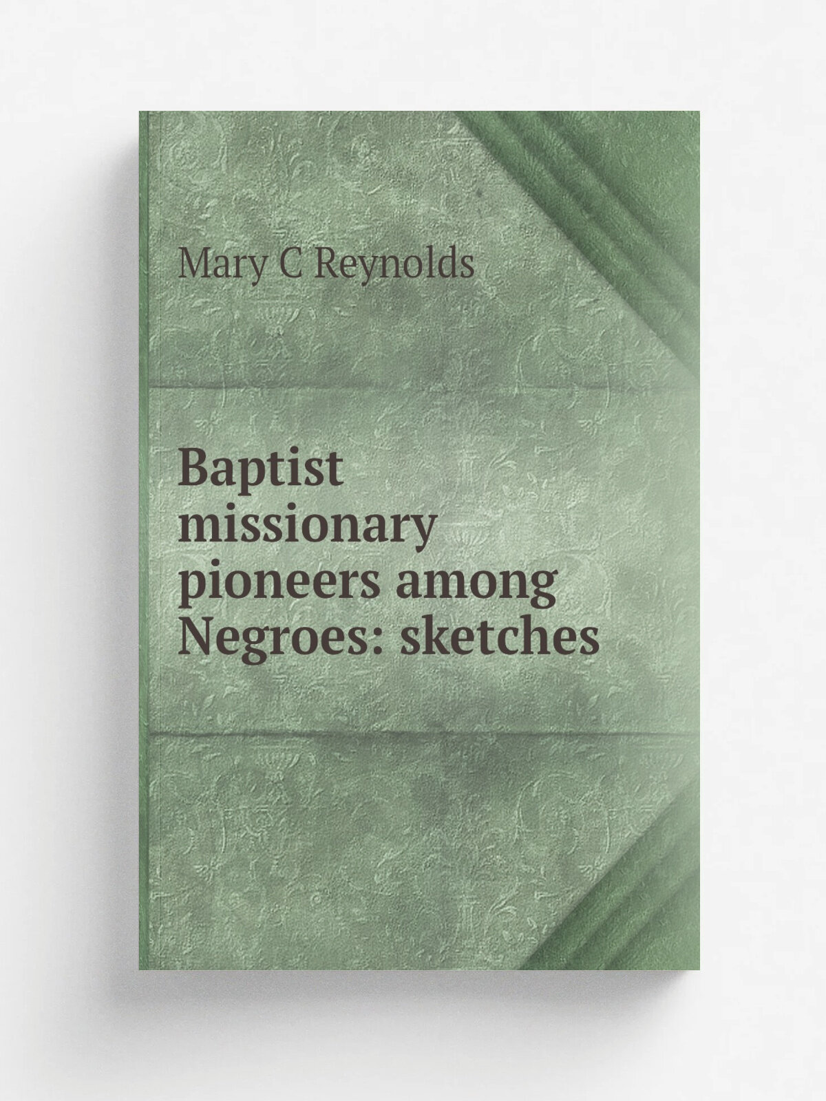 Baptist missionary pioneers among Negroes: sketches