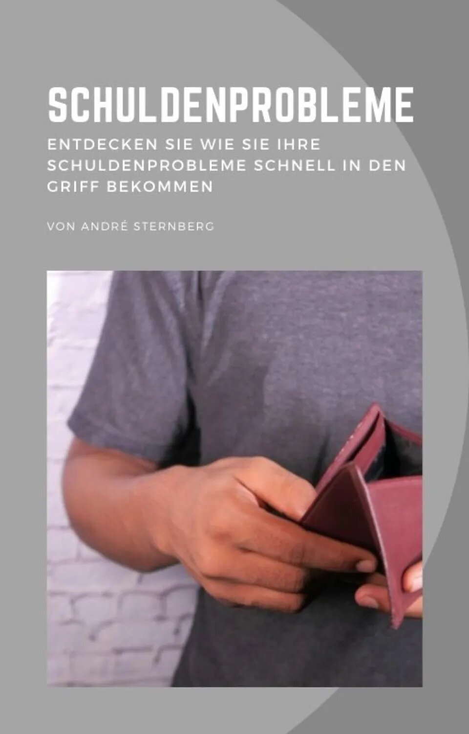 Schuldenprobleme [Цифровая книга]