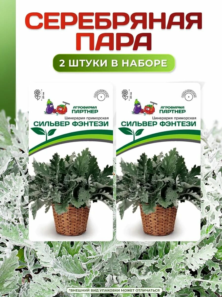 Семена набор Агрофирма Партнер "Серебрянная пара", цинерария - Сильвер Фэнтези