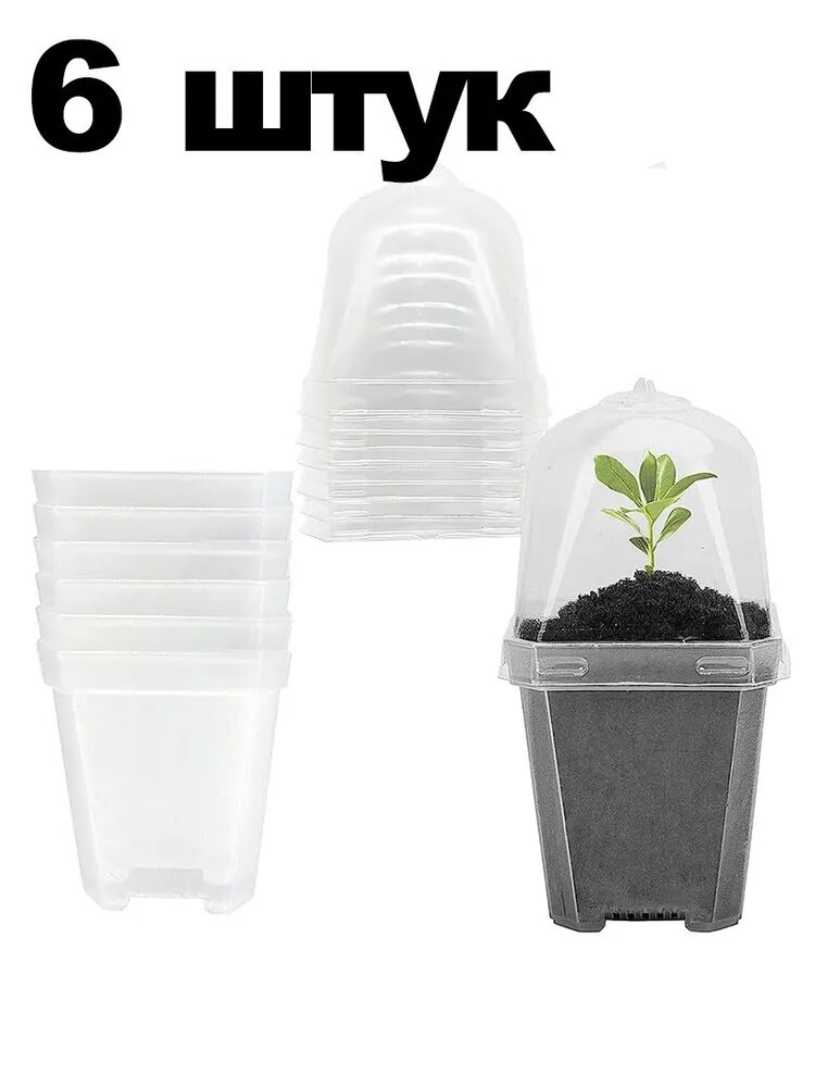 Парник, теплица мини PP-PB00119-250612A-25 10.04