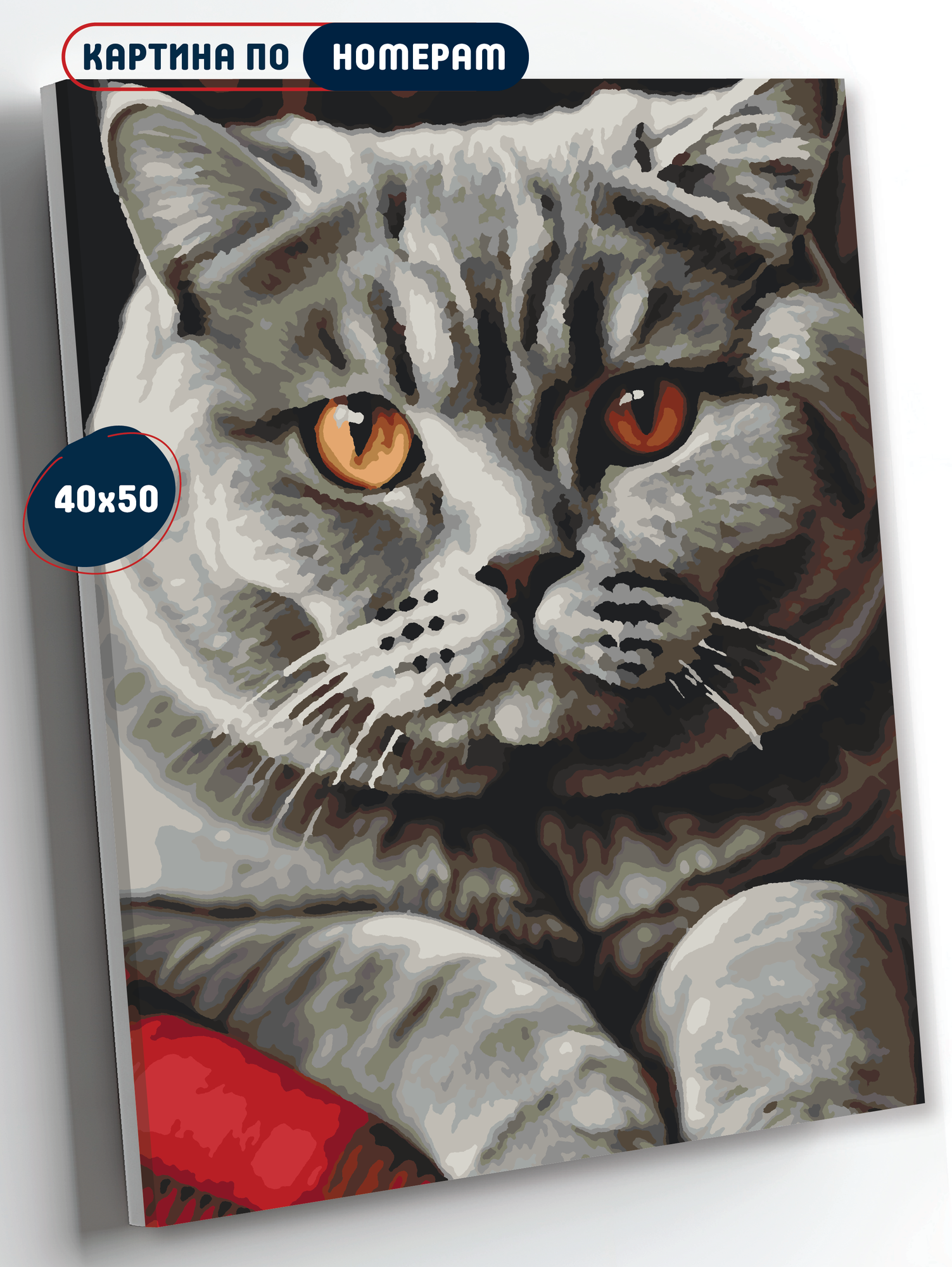 Картина по номерам "Кот", Холст на подрамнике 40х50, набор для рисования, с животными
