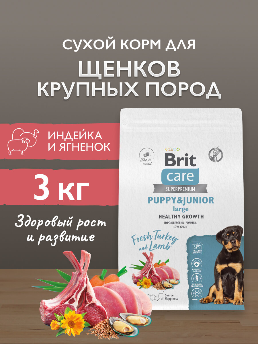 Сухой корм для щенков и молодых собак крупных пород, супер-премиум с индейкой и ягненком 3 кг BRIT CARE