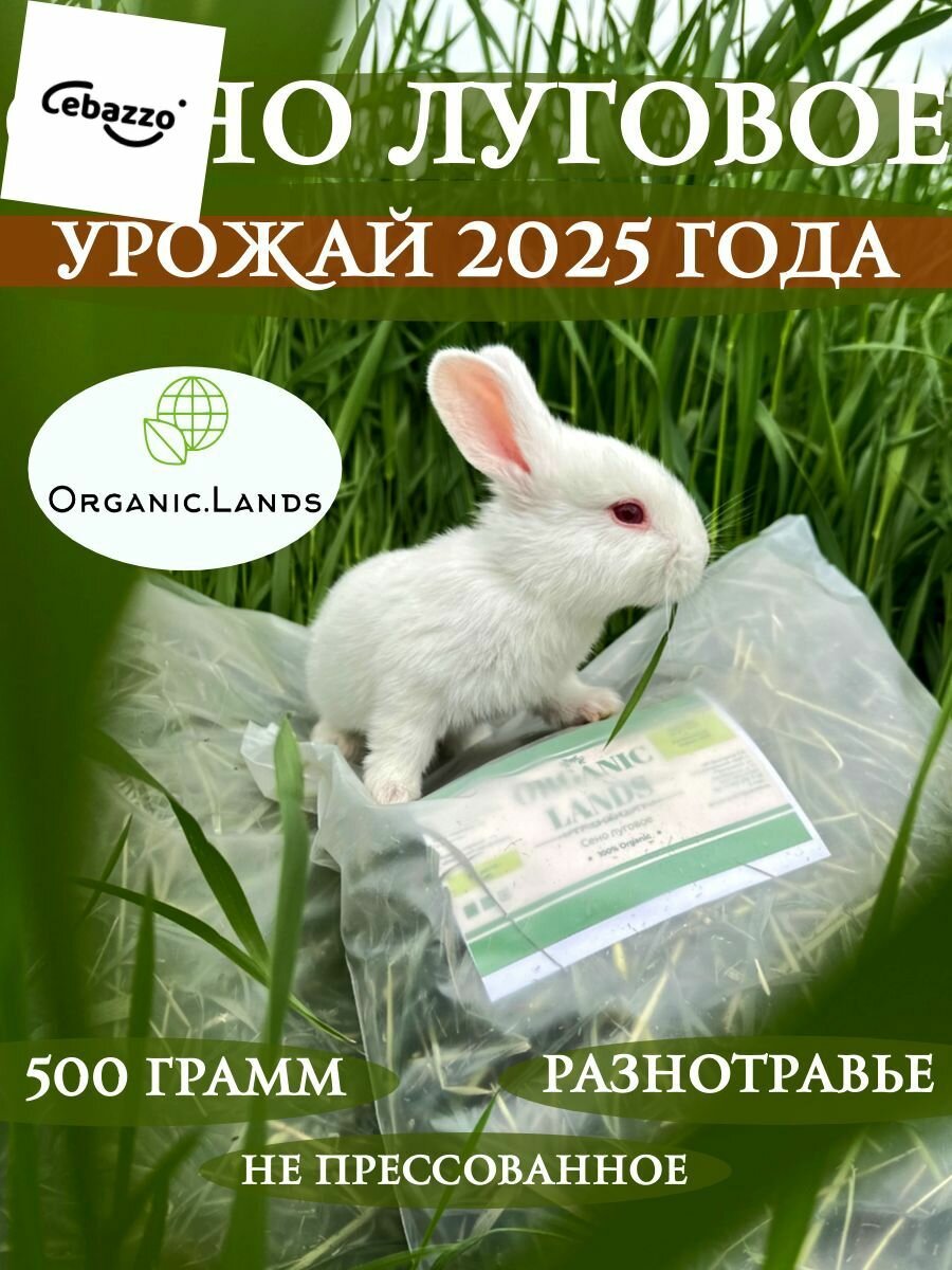 Сено луговое 500г Premium для грызунов отборное, не прессованное, душистое