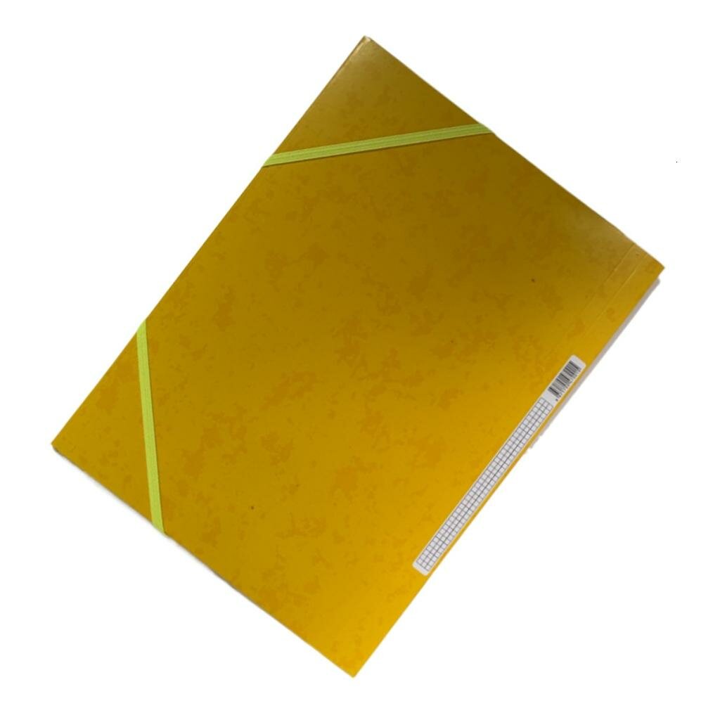 Папка-органайзер А4 с резинкой, Папки-органайзеры для документов на резинке для офиса Папки-органайзеры для документов на резинке для школы Папки-органайзеры для документов на резинке для сортировки папок-скоросшивателей для офиса