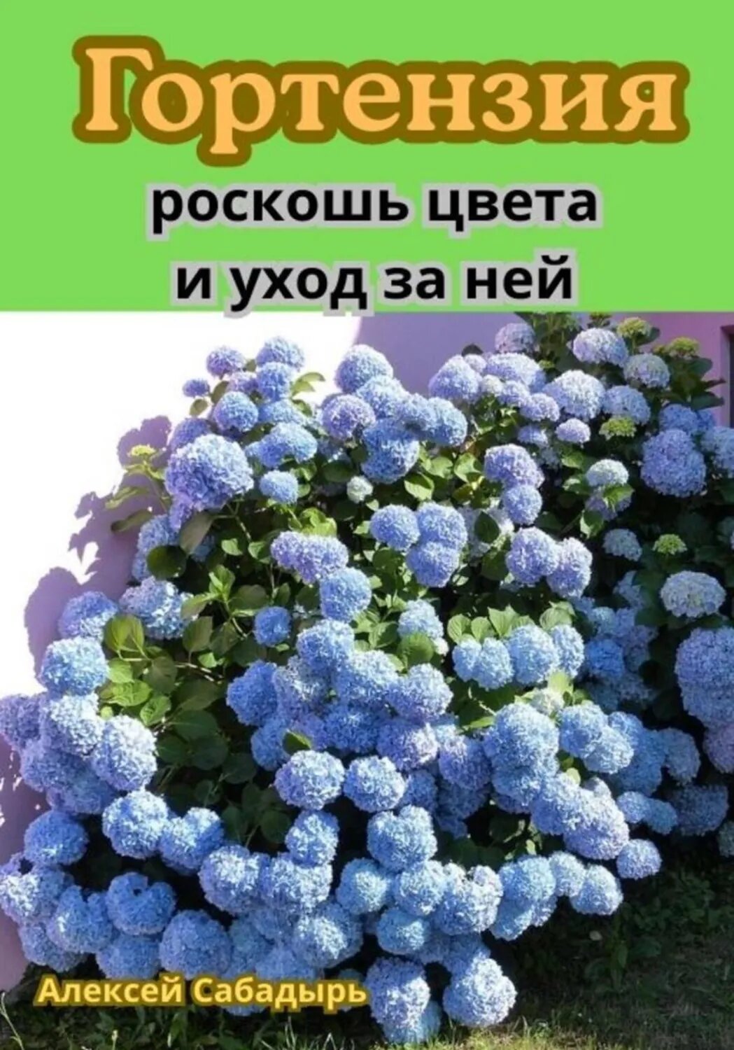 Гортензия: роскошь цвета и уход за ней [Цифровая книга]